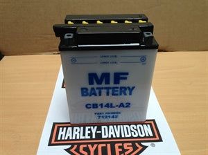 Battery Standard 14 AH (84722974) | Force Motorcycles