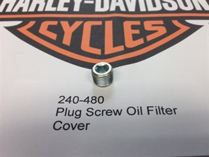 Plug Screw Oil Filter Cover (240-480) – Force Motorcycles